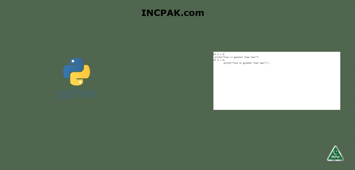 Top Programming languages 2019 - INCPak